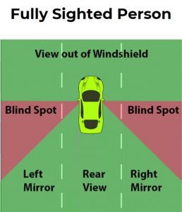 The Peli Lens ™ and Driving: Chadwick Learning Center